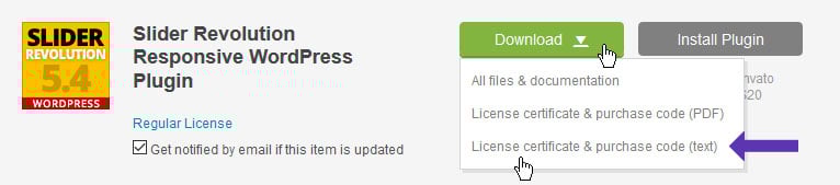 Install, Activate and Update (CodeCanyon) - Slider Revolution Install, Activate and Update (CodeCanyon) - Slider Revolution