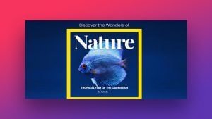 Amazing homepage slider examples from modern websites