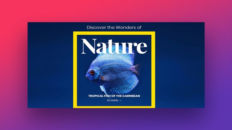 Amazing homepage slider examples from modern websites