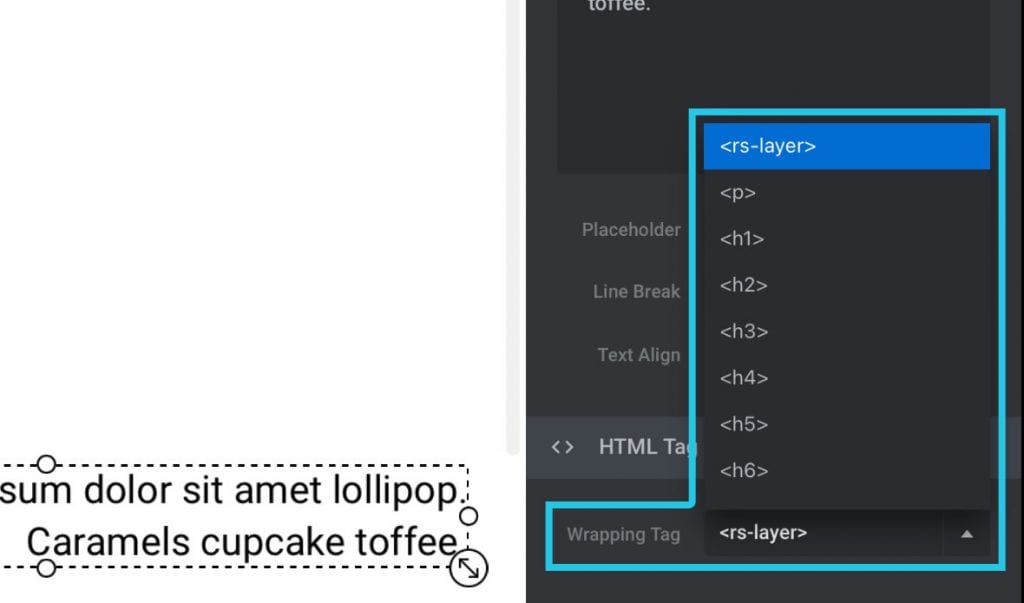 Slider Revolution Manual Additional Text Content Options