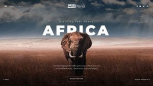 Cinematic Wildlife Slider - Slider Revolution WordPress Builder