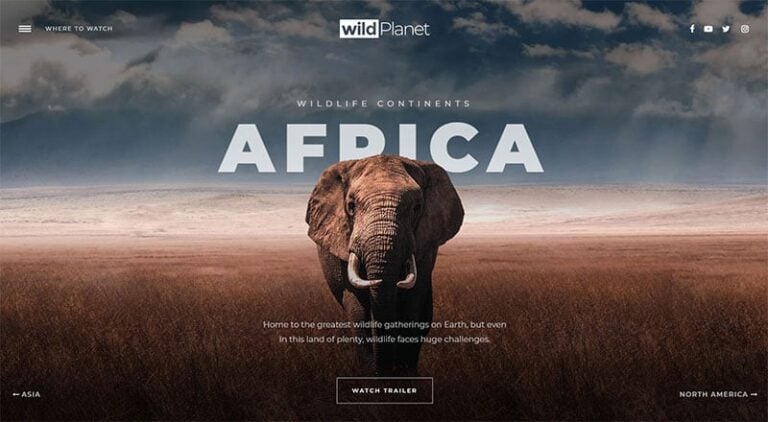 Clean Website Design Examples to Use as Inspiration