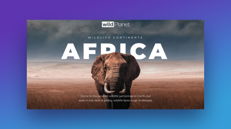 How to Create a Beautiful Content Showcase for an Online Publication ...