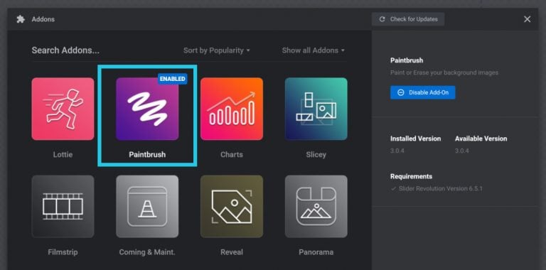 Slider Revolution Manual - Paintbrush Addon Guide