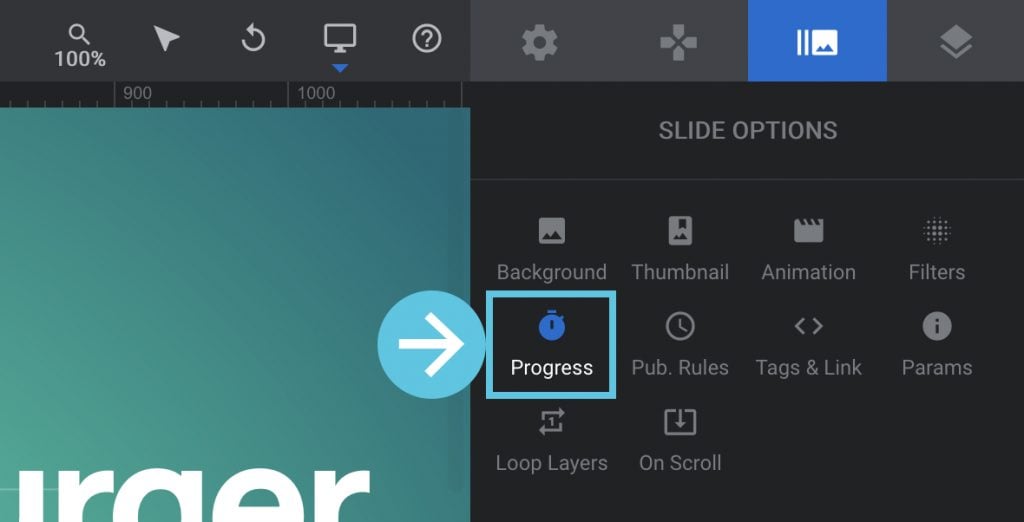 Customize Elements Visibility in Slider Revolution