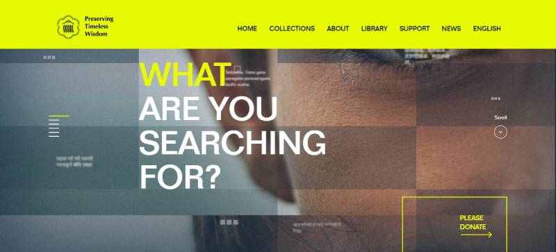 Impressive Lottie Animation Examples You Should See