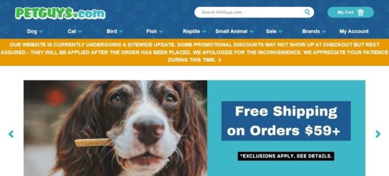 Paws and Pixels: Pet Website Design Examples