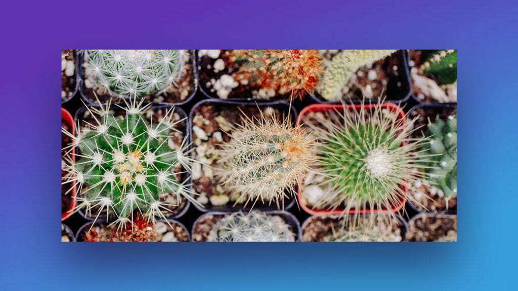 Award-Winning Website Design Examples To Use As Inspiration