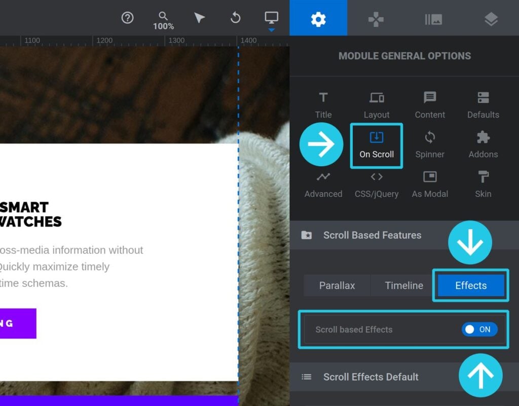 Slider Revolution Manual - Essential & Optional Module Modifications