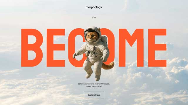 Hover Morph Effect Hero Collection