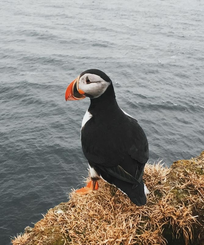 Bento Grid Travel Slider - Slider Revolution