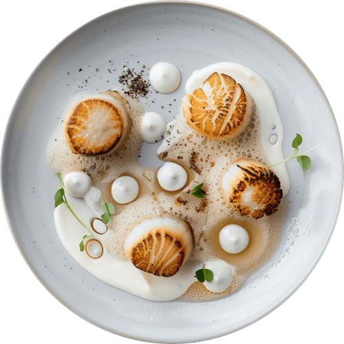 Modern Restaurant Slider Design - Slider Revolution